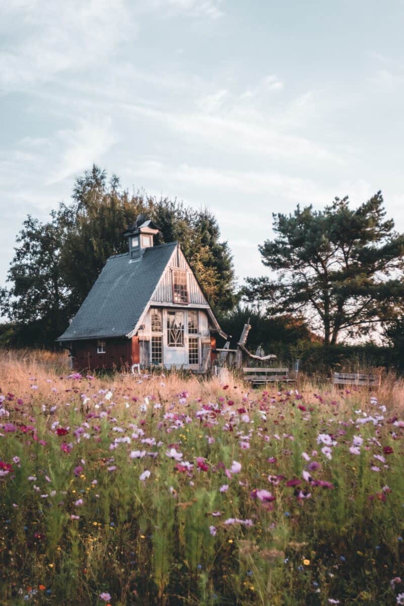 23 Small Cabin Designs To Get Inspired: Find The Best One For Yourself ...