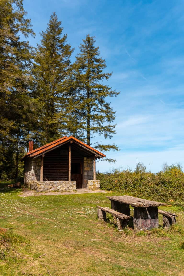 23 Small Cabin Designs To Get Inspired: Find The Best One For Yourself ...