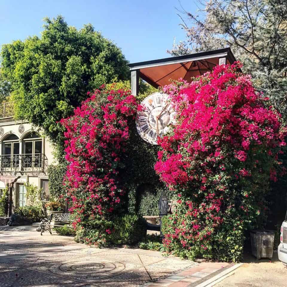 Discovering the Magic at the Houdini Estate – DecoFond