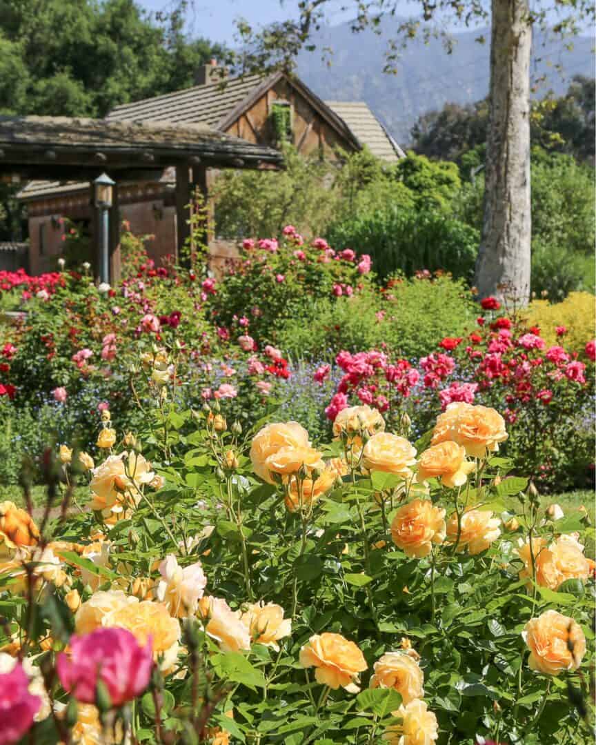 22 Backyard Garden Landscaping Ideas – Create An Outside Corner For ...