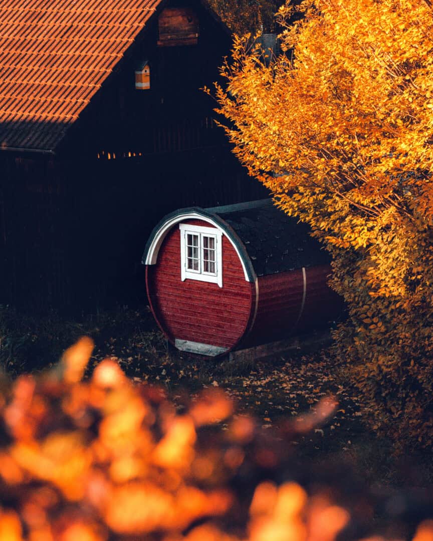 23 Small Cabin Designs To Get Inspired: Find The Best One For Yourself ...