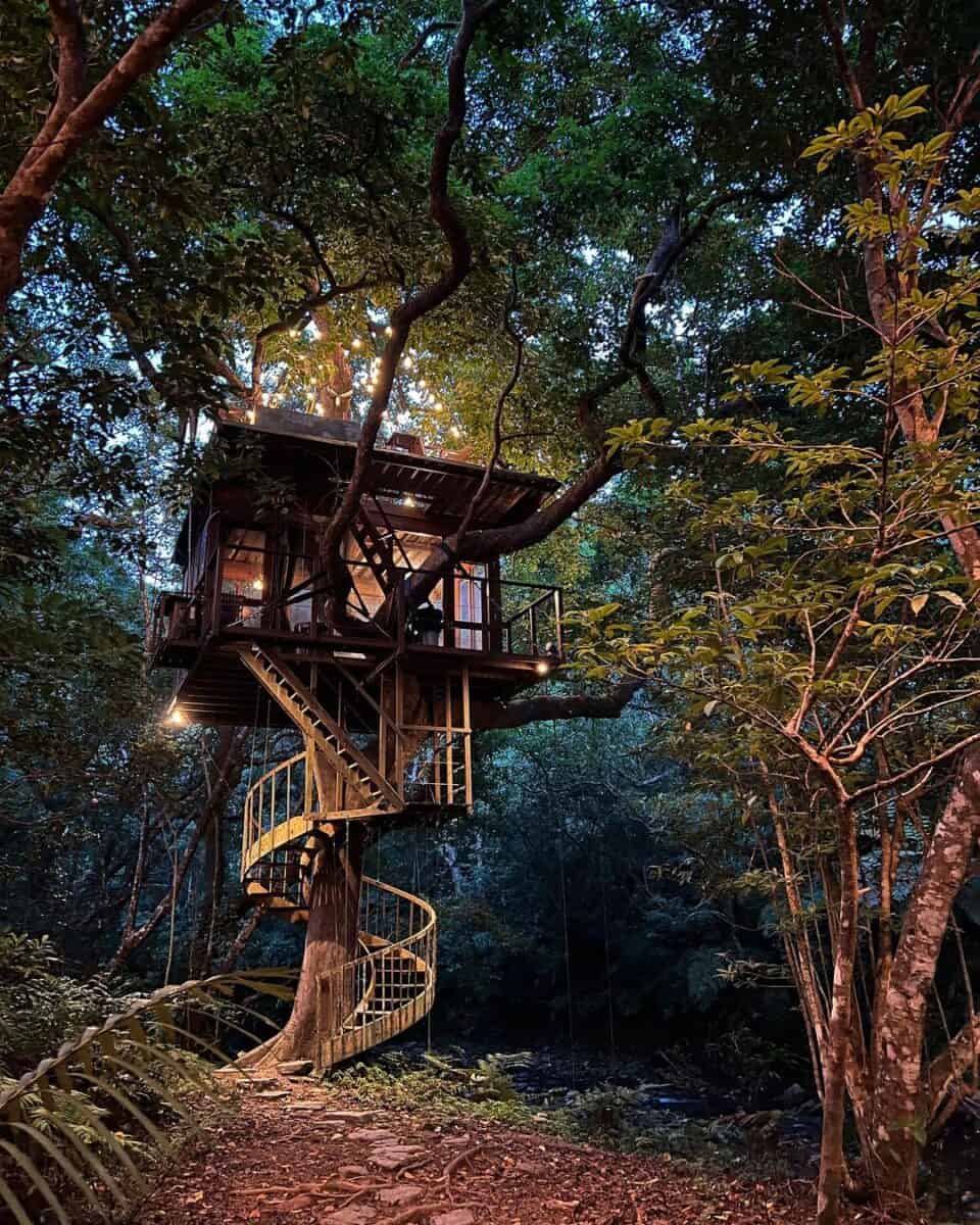 Up In The Clouds: Beautiful Treehouse Ideas For Family Fun – DecoFond