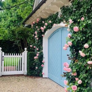 18 Stunning Blue Garage Ideas to Inspire You – DecoFond