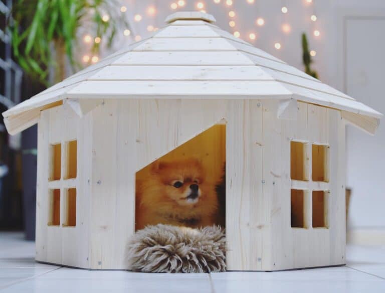 Pawsitively Perfect: 10 DIY Dog House Ideas – DecoFond