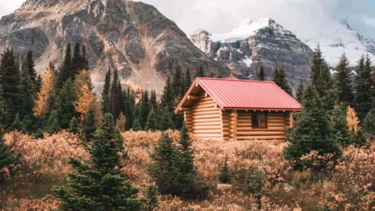 23 Small Cabin Designs To Get Inspired: Find The Best One For Yourself ...