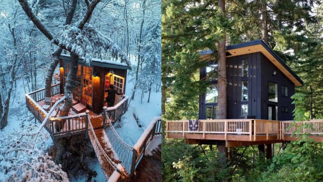 Up In The Clouds: Beautiful Treehouse Ideas For Family Fun – DecoFond