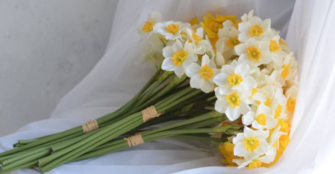 10 Best Blooms for Remembering Loved Ones – DecoFond