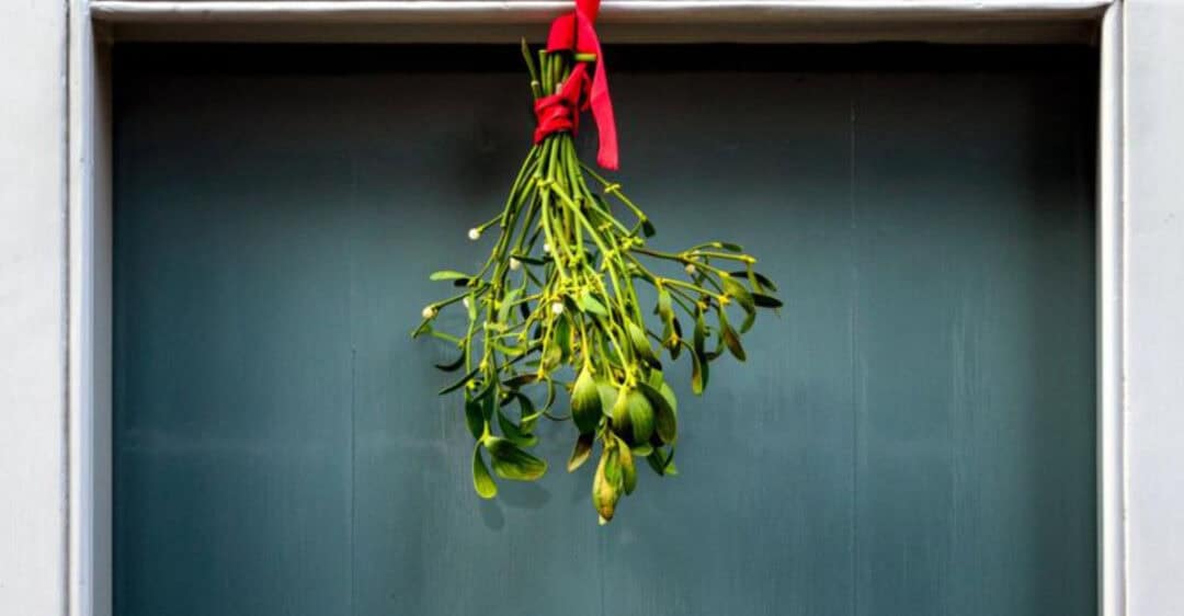 10 Magical and Mythical Plants and Their Fascinating Folklore – DecoFond