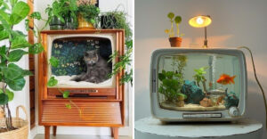 10 Ways to Repurpose a Retro TV That Don’t Involve Watching Static ...