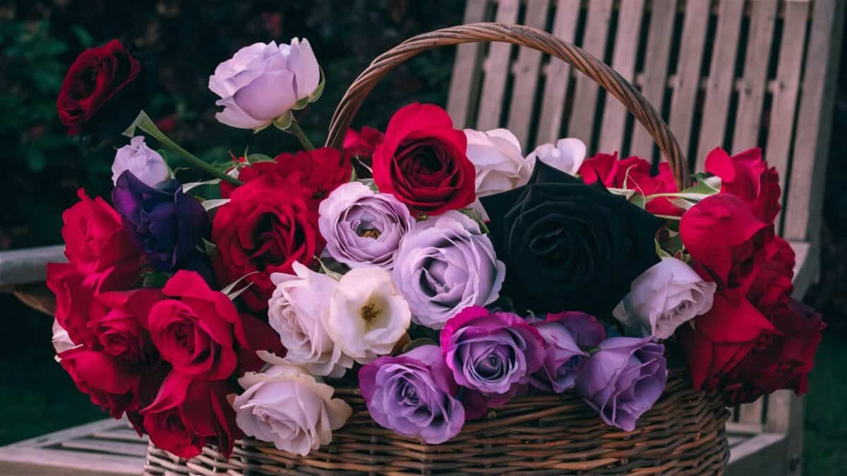 10 Unusual Rose Colors That Add a Unique Touch to Any Garden – DecoFond