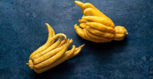 10 Strangest Fruits You’ve Probably Never Heard Of – DecoFond