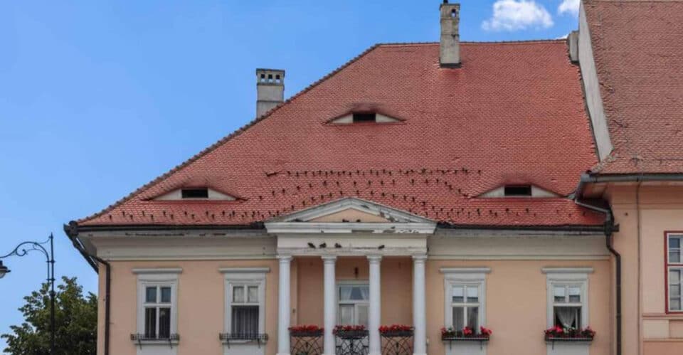 10 Ways Eyebrow Windows Add Unique Character to Homes – DecoFond