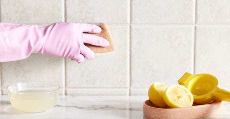 10 Lemon Cleaning Tricks You’ll Wish You Knew Sooner – DecoFond