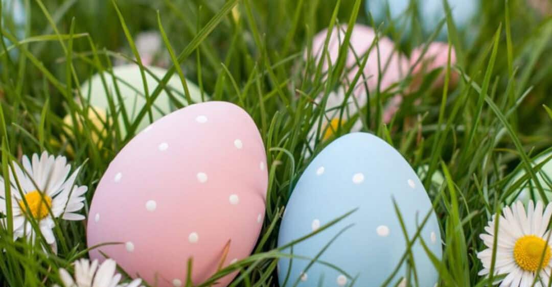 How to Set Up an Easter Egg Hunt at Home – DecoFond