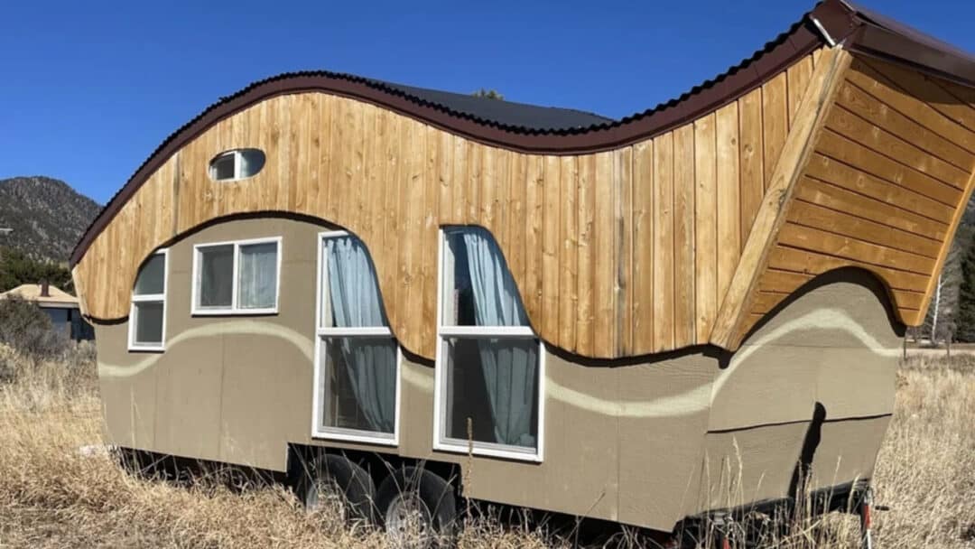 This Uniquely-Shaped Tiny Home Adopts A Biophilic Design And Connects You With Nature – DecoFond