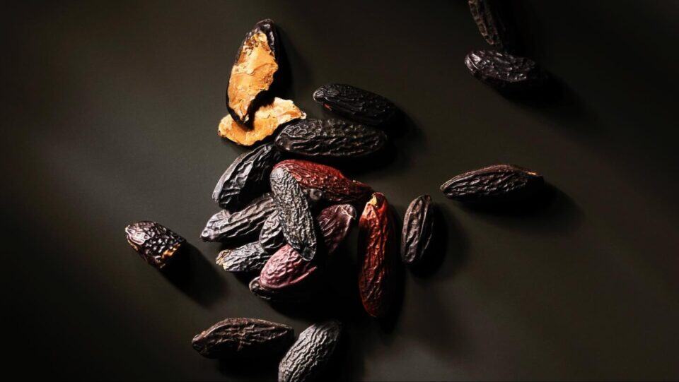 10 Sweet Reasons to Make Tonka Beans Your Home’s New Scent – DecoFond