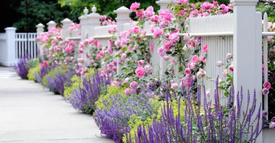 10 Flower And Plant Combinations To Create A Dynamic Garden – DecoFond