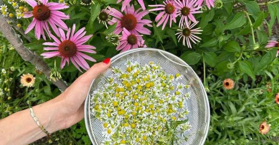 10 Indoor Courtyard Ideas That Will Surely Steal The Show – DecoFond