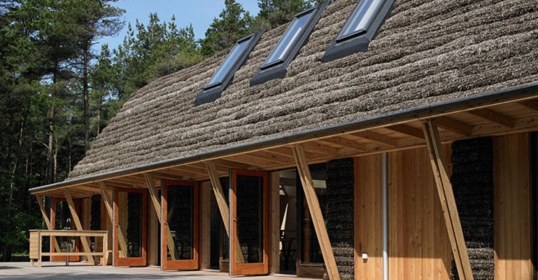 10 Strange But Stunning Natural Materials Designers Are Using in Homes ...