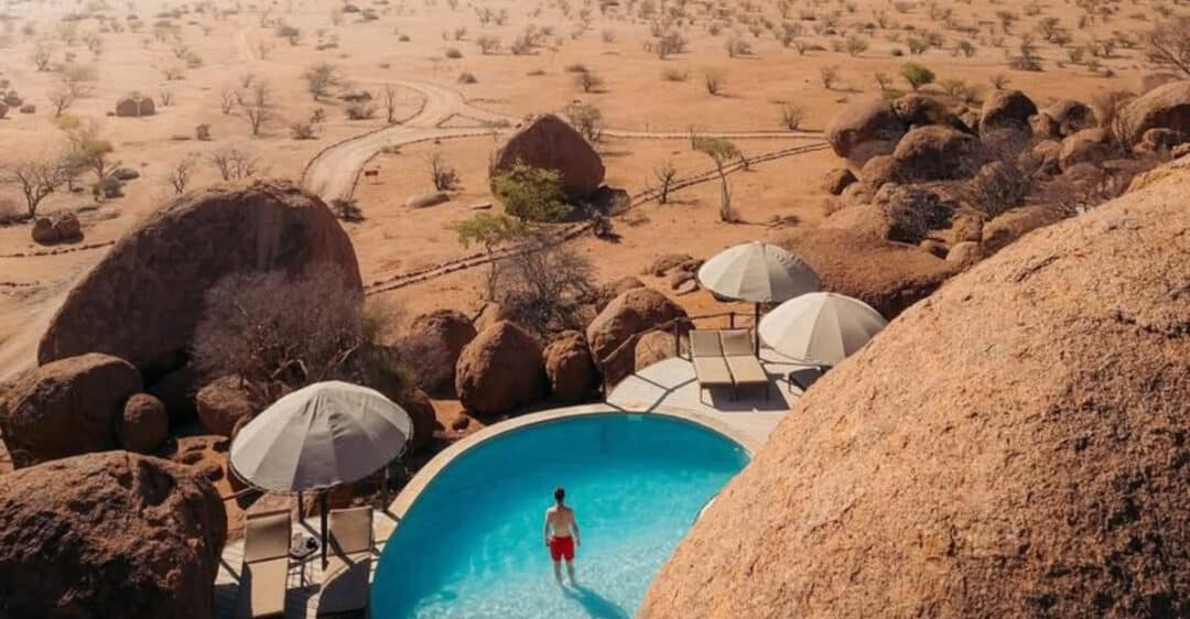 Top 10 Temu Game-Changers to Revive Your Garden This Spring – DecoFond