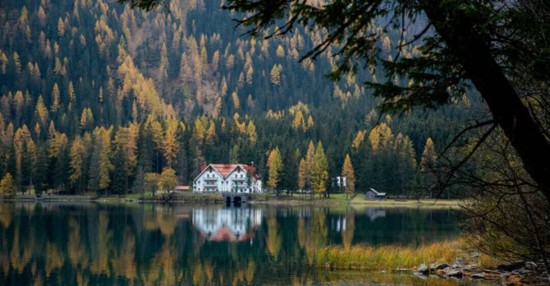10 Perks of Living In the Country – DecoFond