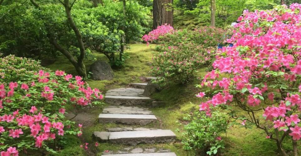 The 7 Best Plants For A Japanese Zen Garden – DecoFond