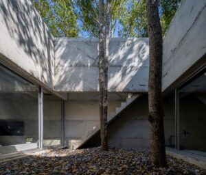 10 Incredible Homes That Kept Trees Right Where They Were – DecoFond