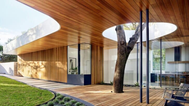 10 Incredible Homes That Kept Trees Right Where They Were – DecoFond