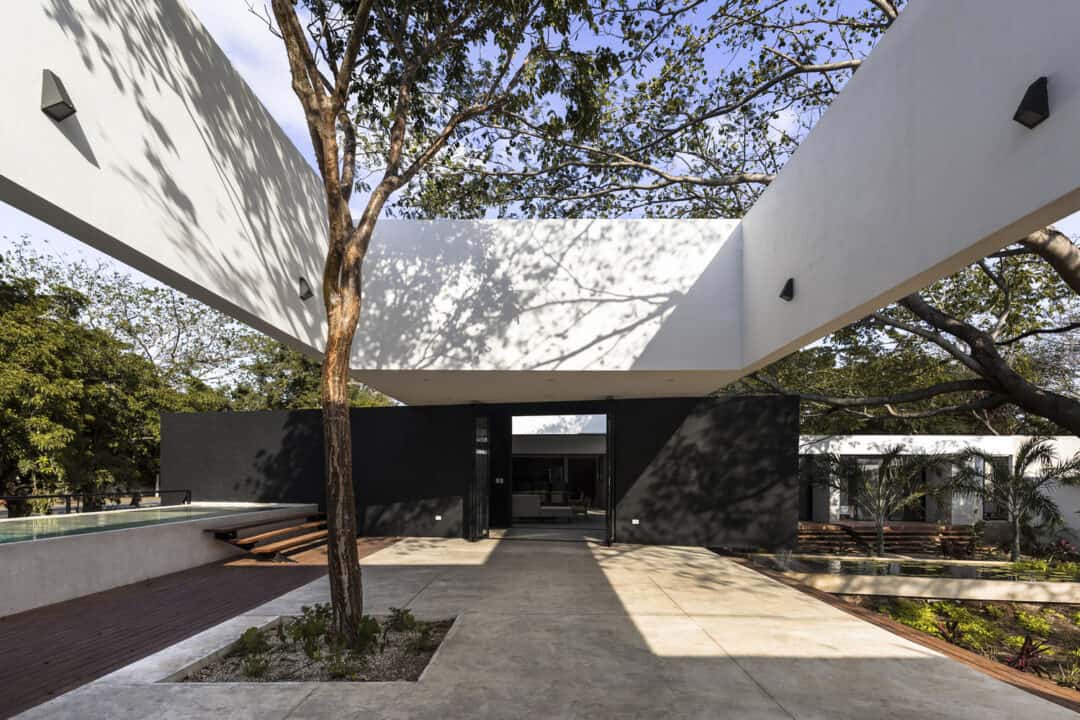 10 Incredible Homes That Kept Trees Right Where They Were – DecoFond