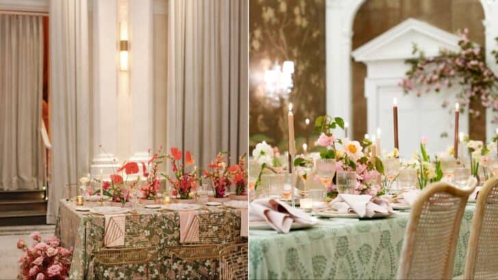 10 Tablecloth Tricks to Impress Your Guests Every Time! – DecoFond
